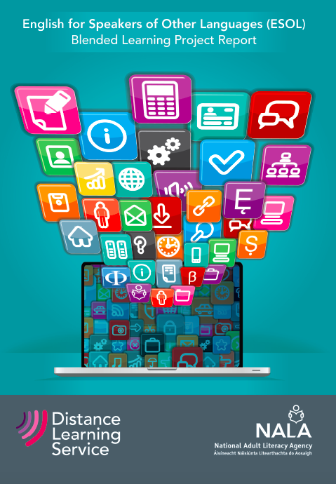 Numeracy Definition Report - NALA